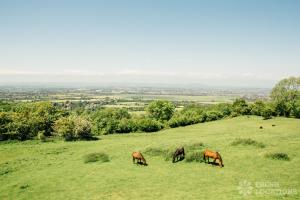 Stroud Manor | Fresh Locations